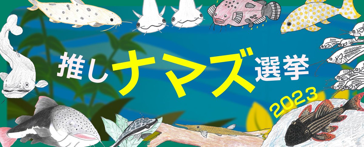2/22はカワスイが制定した『カワスイ「ナマズ」の日』🐟 「推しナマズ選挙2023」を開催します！ 今回は飼育クルーの推しナマズを全力応援する ...